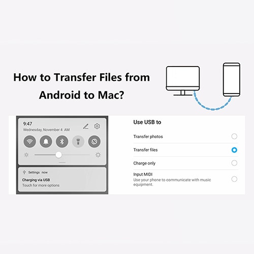 How to Transfer Files from Android to Mac (Easy and Quick Guide) - HONOR AE