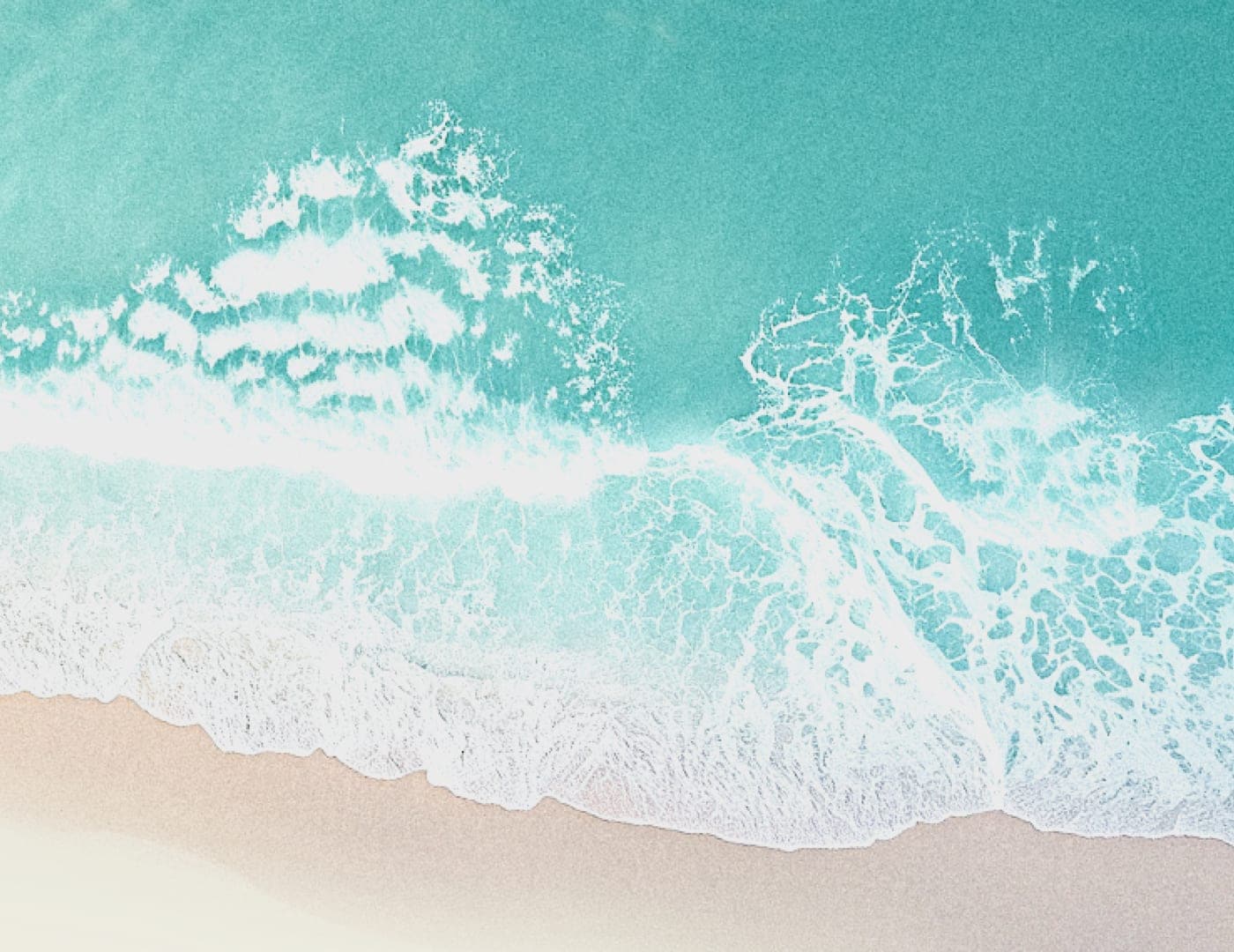 HONOR Phones | HONOR UAE