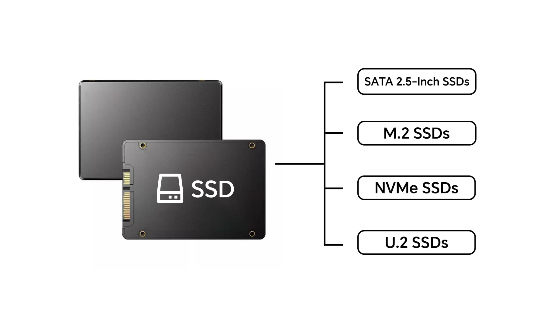 What Is SSD in Laptop? - Everything You Need to Know - HONOR SA
