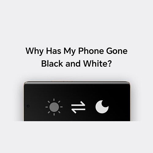 Why Has My Phone Gone Black and White: Common Causes and Solutions ...